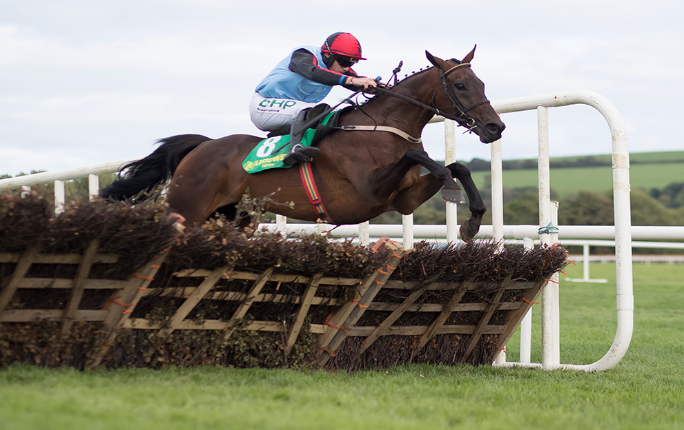 Mick Fitzgerald: Belargus looks primed for a big run at Punchestown ...