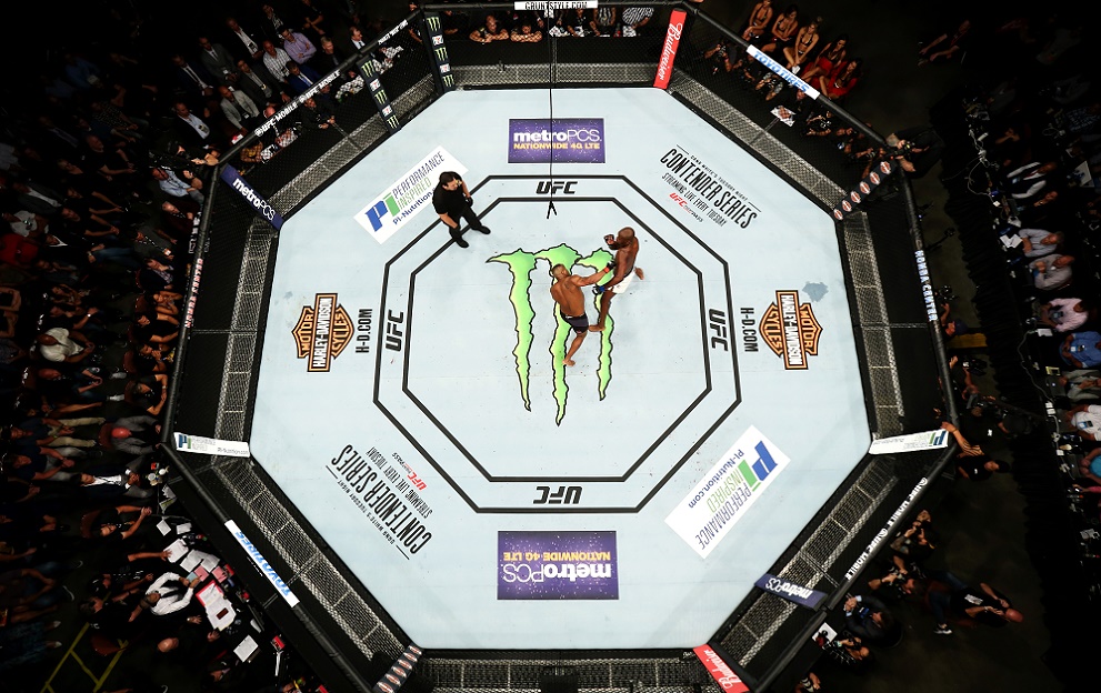 UFC 313 Betting Tips: 3 fights to follow in Las Vegas next weekend ...