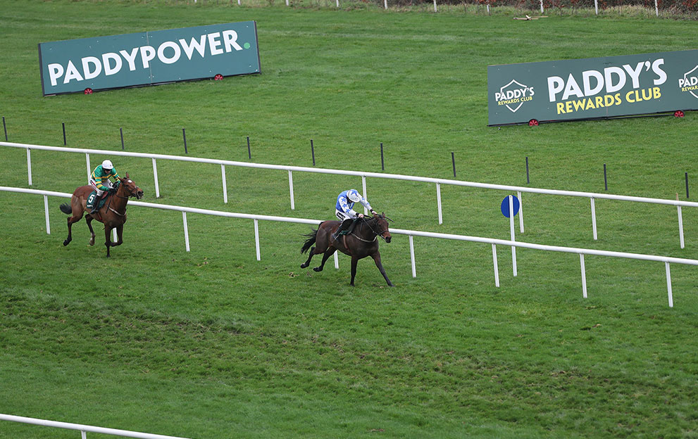 Horse Racing tips: Here’s 4 to play each-way on Paddy Power Chase Day ...
