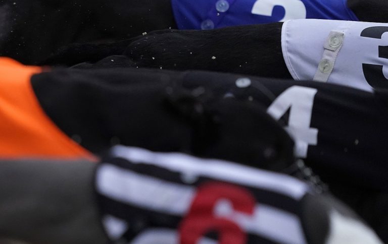 English Greyhound Derby dates, schedule, results and betting – Paddy ...