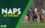 NAP of the Day: Today’s NAPs Table of racing tips in UK & Ireland ...