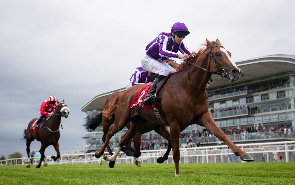 Galway Races Tips: This 8 could be great at the Summer Festival today ...