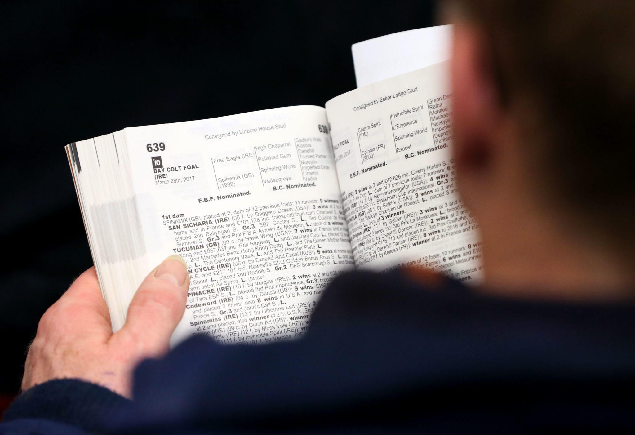 What is a Black Type horse race? | Paddy Power – Paddy Power News