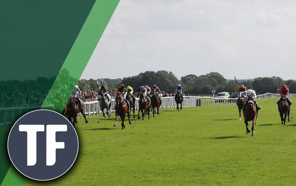 Horse Racing Tips: Timeform’s Wednesday shouts at Ripon – Paddy Power News