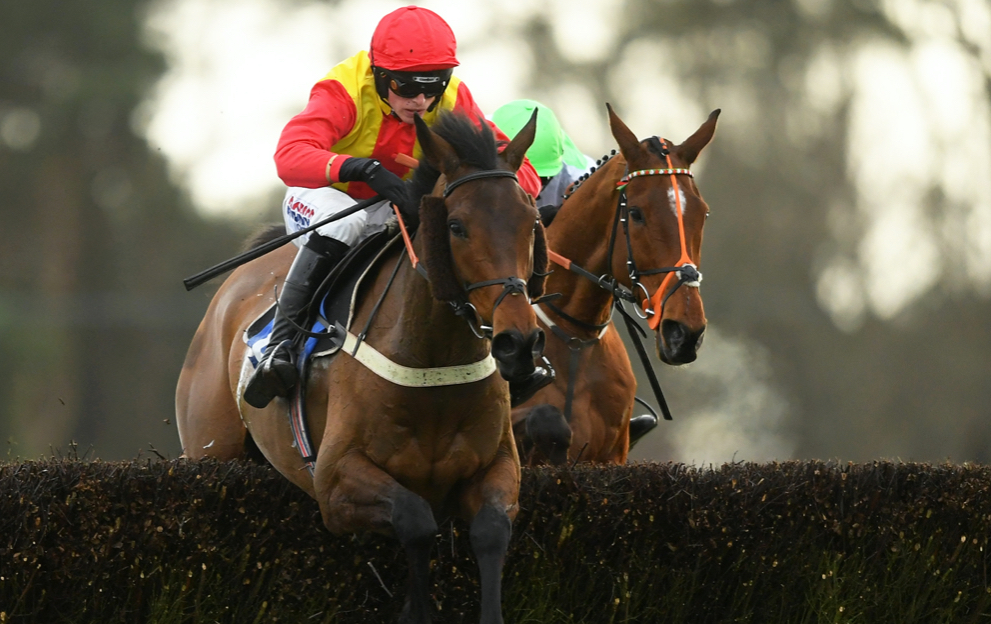 What is a listed horse race? | Paddy Power explains all in our racing ...