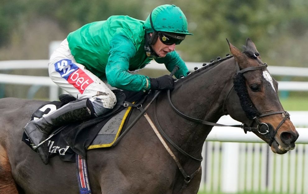 Horse Racing tips: Paddy Power & Niall O'Reilly's Saturday NAPs