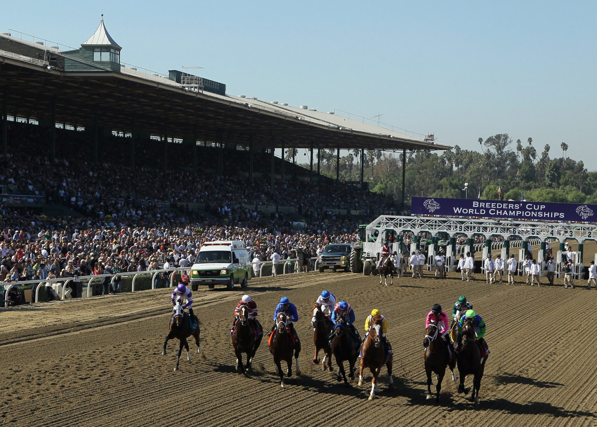 What is a Bull Ring in horse racing? | Paddy Power News – Paddy Power News