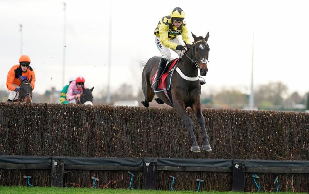 Arkle Chase tips and runners for Cheltenham Festival 2021 – Paddy Power ...