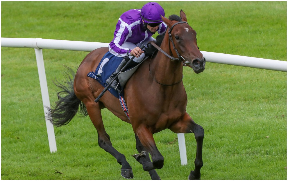 1000 Guineas runner-by-runner guide for Classic on ITV Racing – Paddy ...