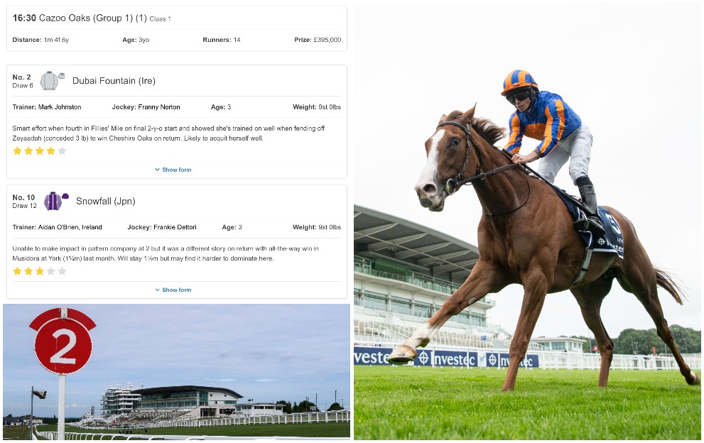 Epsom Racecard: Oaks Day 2021 runners and riders for EVERY race – Paddy ...