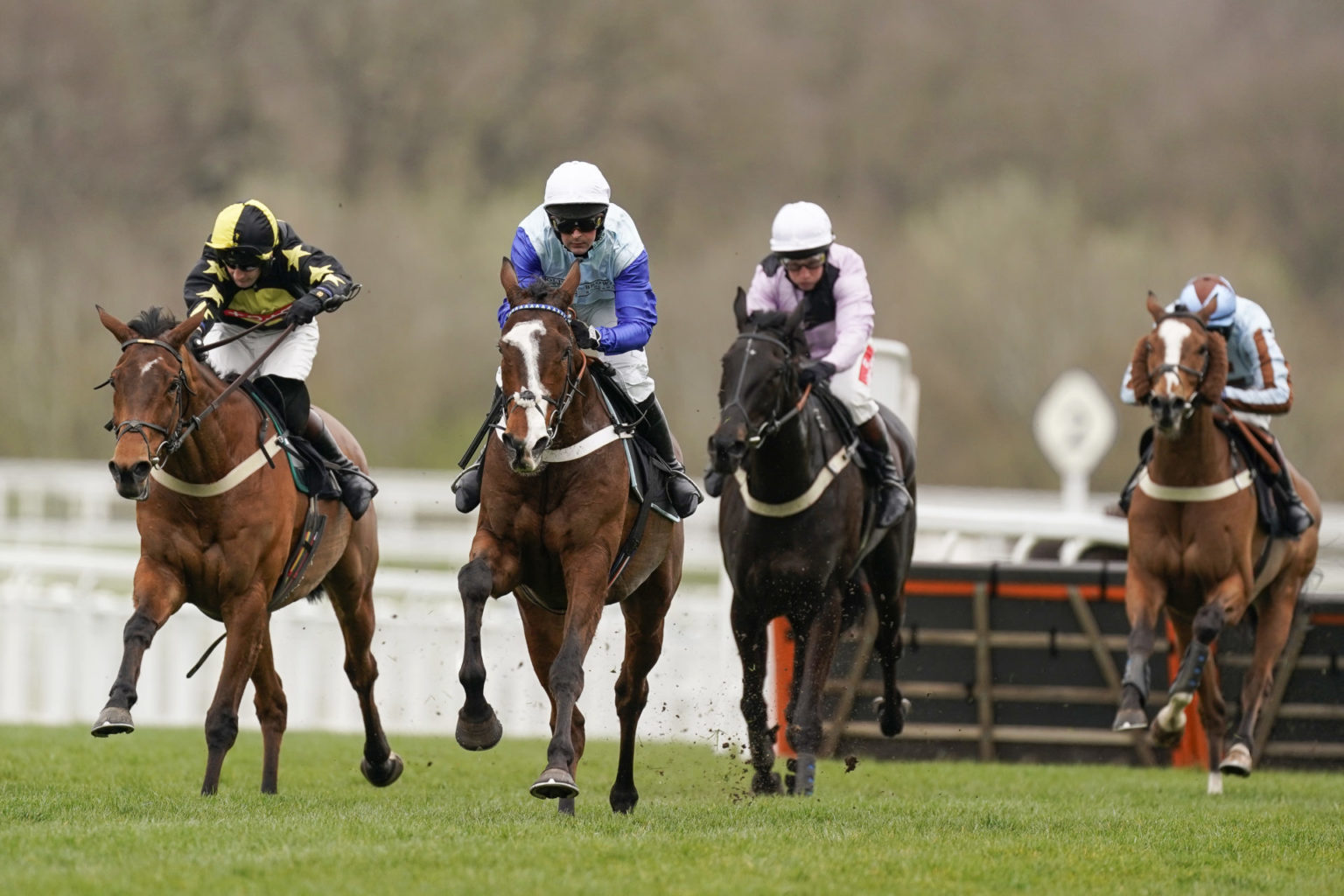 %%title%% %%page%% – Paddy Power News