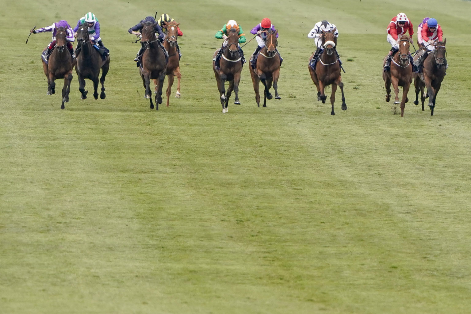 The difference between a colt, filly, gelding, stallion and mare ...