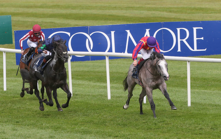 Horse Racing Tips: Our nifty Naas fancies today – Paddy Power News
