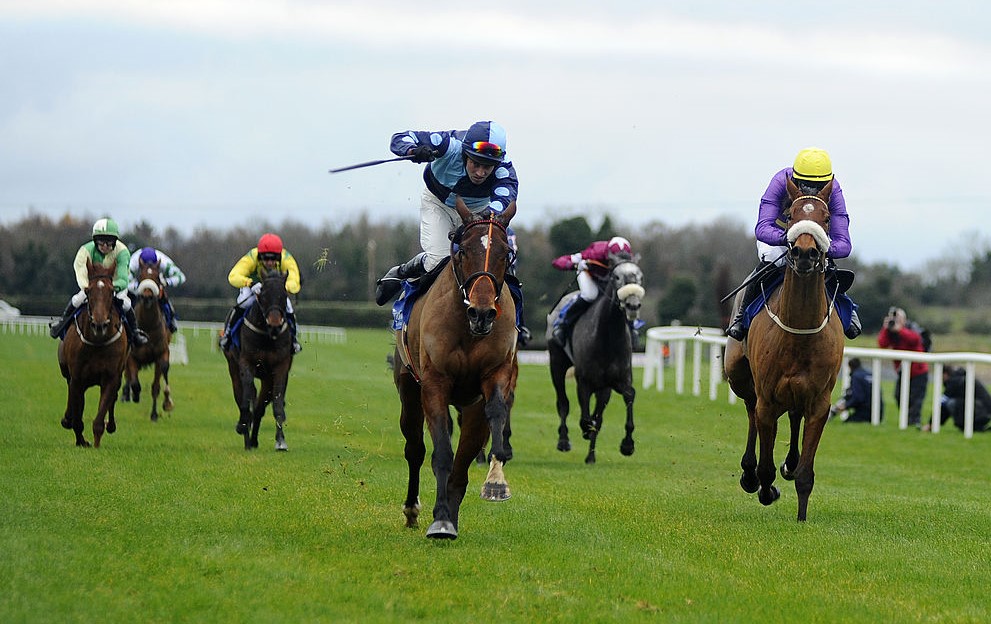 What is a Flag in Horse Racing? Understanding the Basics – Paddy Power News