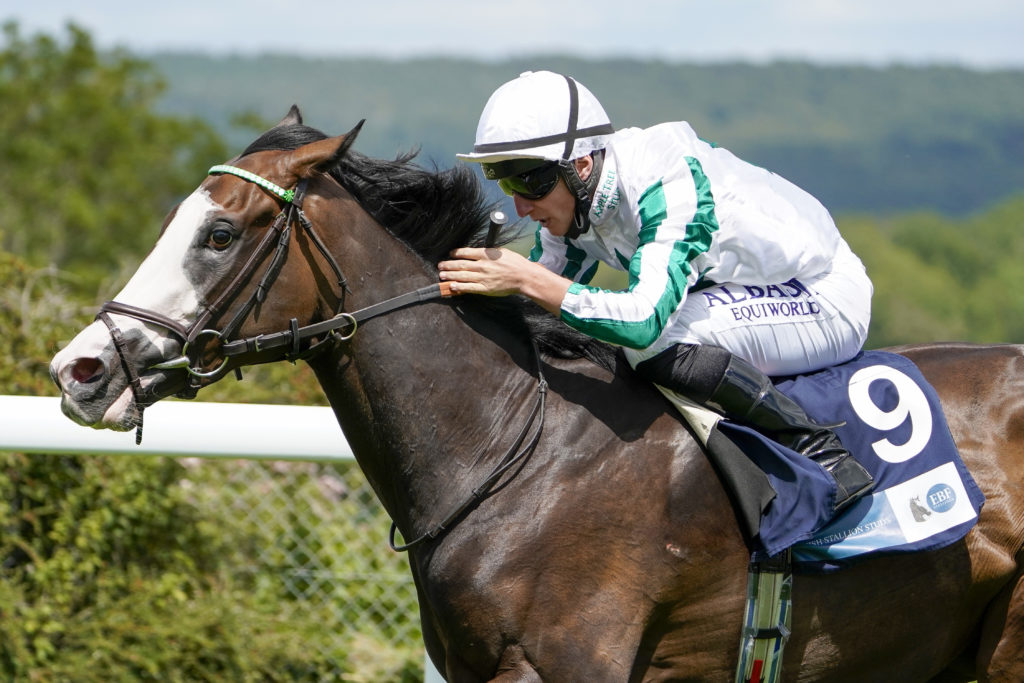 What does it mean when a horse is ‘On the Bridle’? | Paddy Power ...