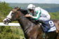 What does it mean when a horse is ‘On the Bridle’? | Paddy Power ...