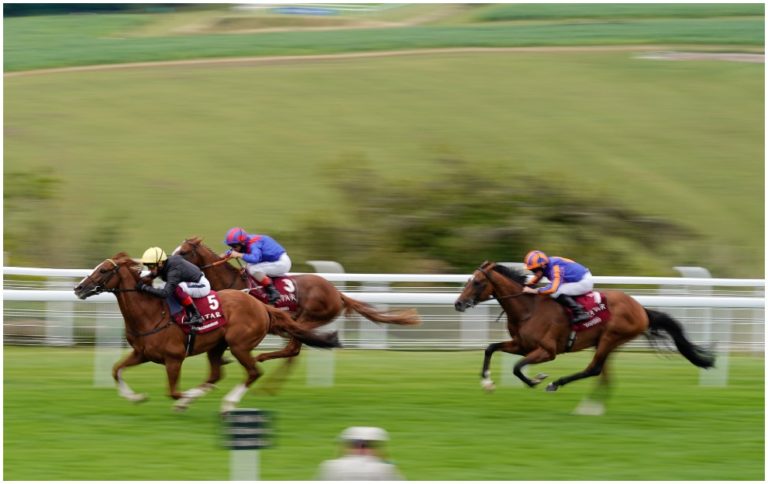 Horse Racing Tips: Matt Chapman’s prize punts for Goodwood on Tuesday ...