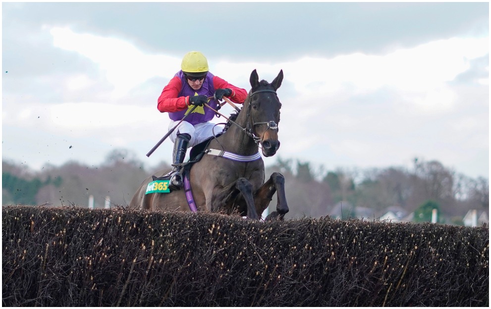 Ascot Chase runner-by-runner guide as Dashel Drasher faces 7 rivals ...