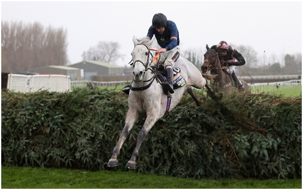 Grand National: Snow Leopardess set for Aintree bid – Paddy Power News