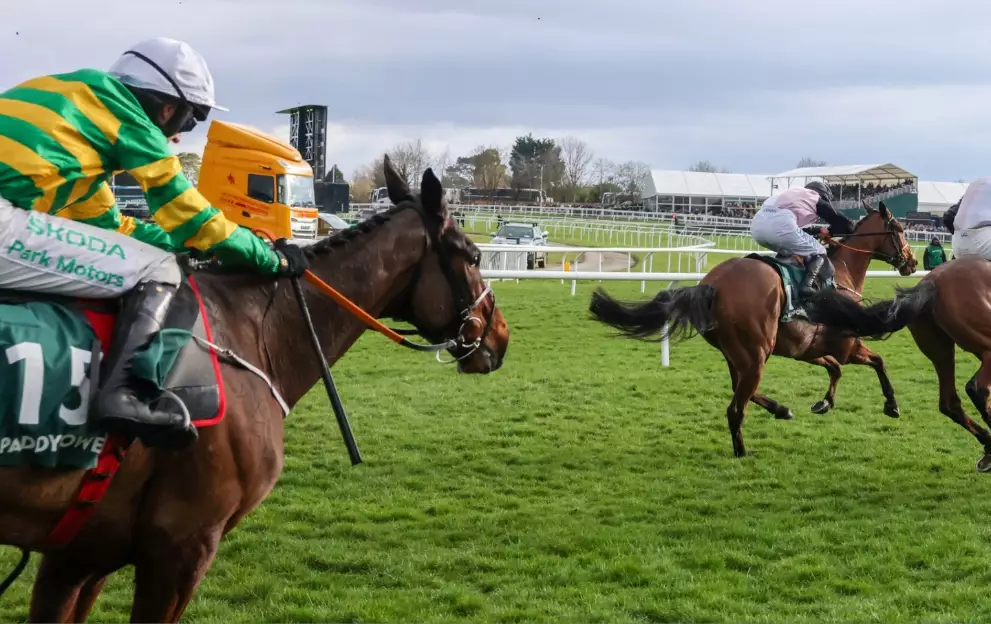Cheltenham Race Card Today: Thursday Day 3 ultimate guide – Paddy Power ...