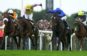 What is a stewards’ enquiry in horse racing? | Paddy Power News – Paddy ...
