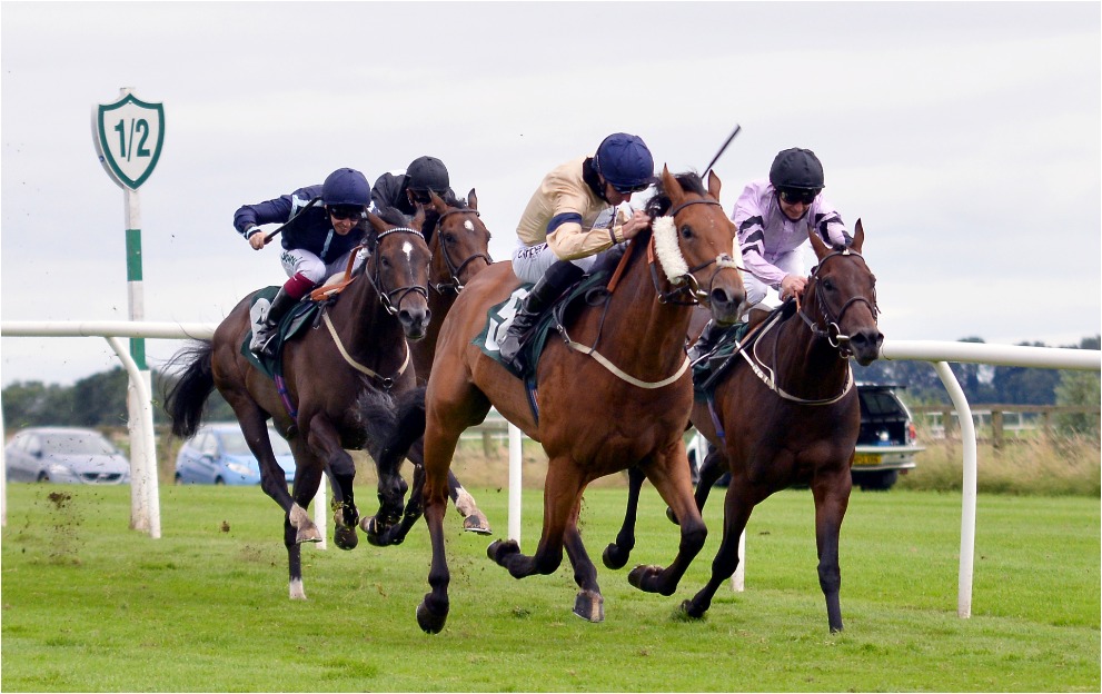 Horse Racing Tips: Monday’s Catterick shouts – Paddy Power News