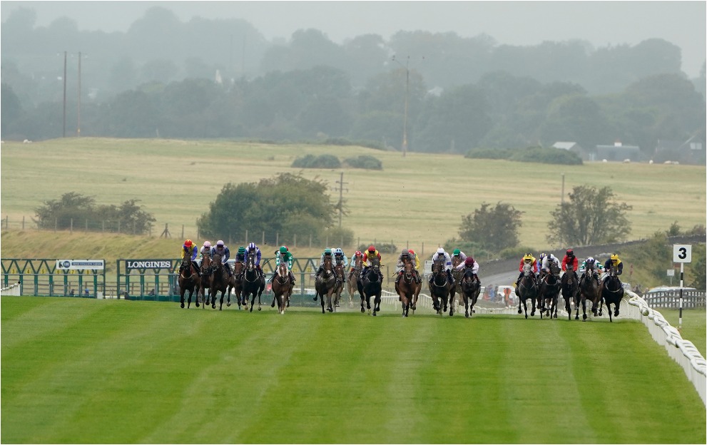 Horse Racing Tips: 8 great punts at the Curragh today – Paddy Power News