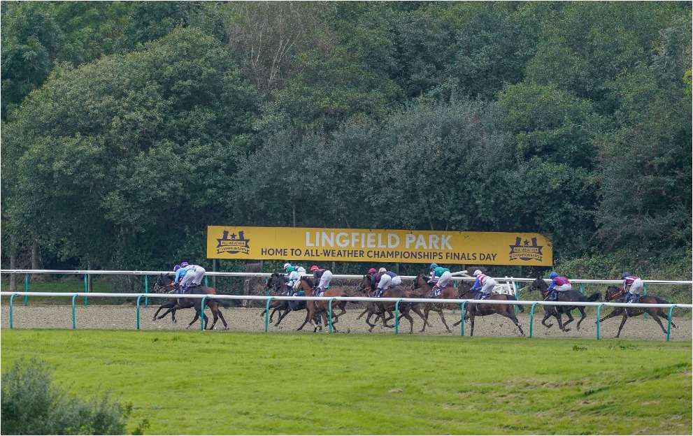 Lucky 15 Tips Today: This evening’s best bets using our NAPs table ...