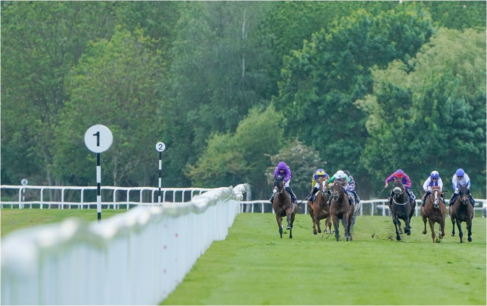 NAP of the Day: Today's NAPs Table of racing tips in UK & Ireland