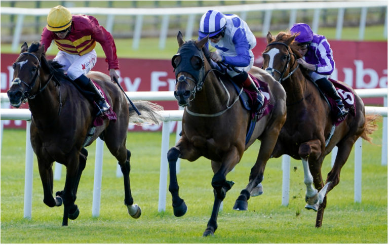 Curragh | Paddy Power News – Paddy Power News