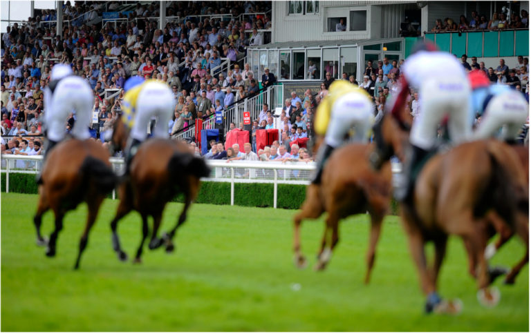 Why is there no horse racing in the UK today? – Paddy Power News