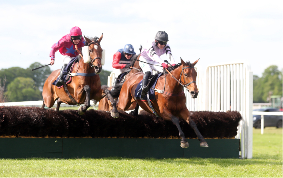 Horse Racing Tips: 10/1 punt leads the way at Worcester today – Paddy ...