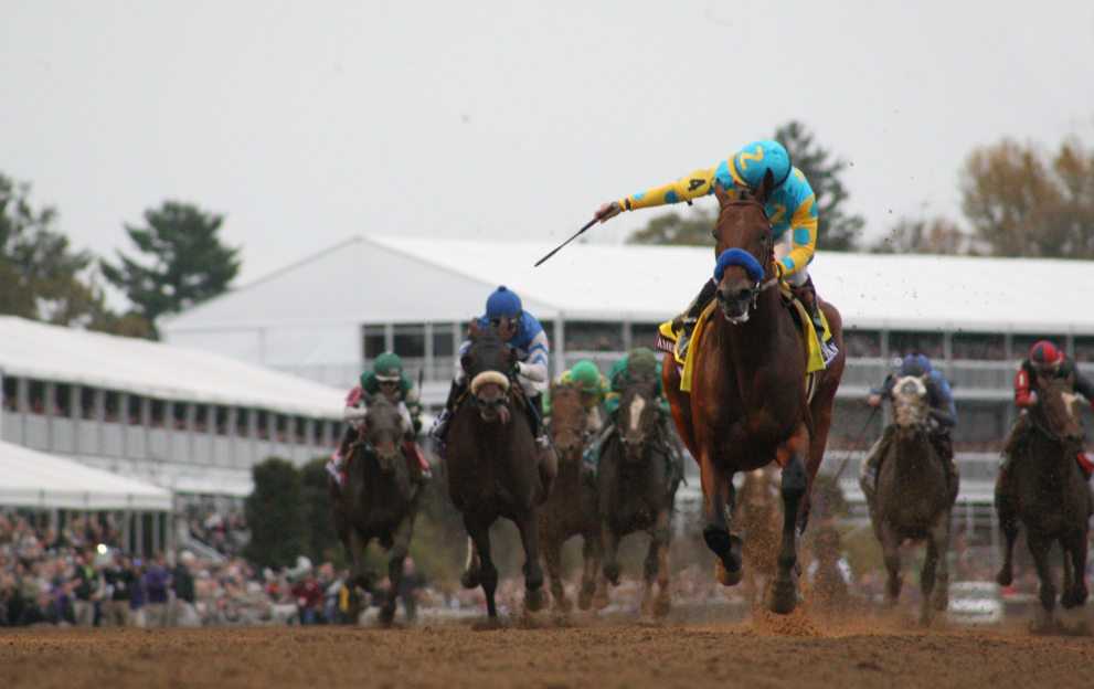 Breeders’ Cup 2022 racecard, results, runners & tips for today – Paddy ...