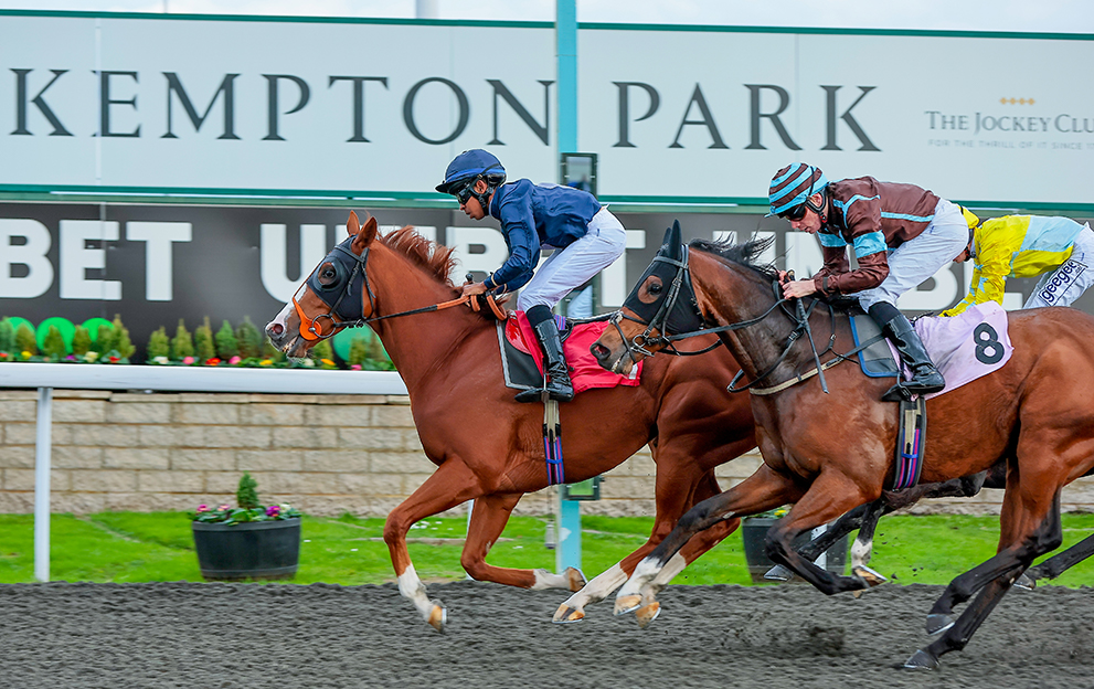 Kempton Park Flat Finish | Paddy Power News – Paddy Power News