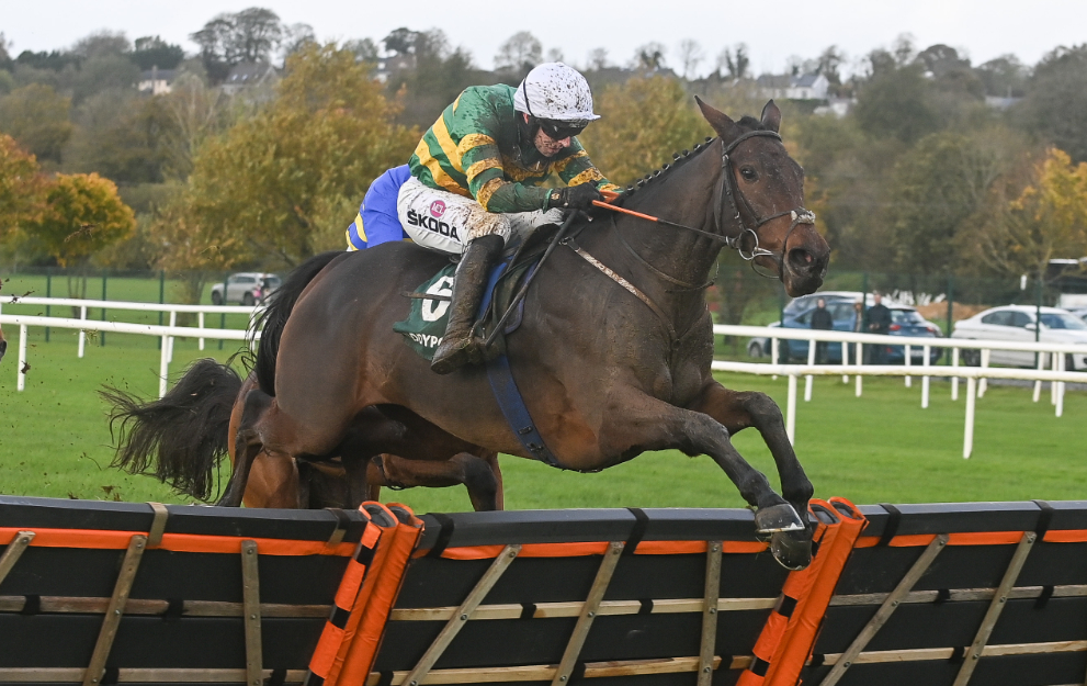 When is the Lawlor’s Of Naas? Naas date, time, runners & betting ...