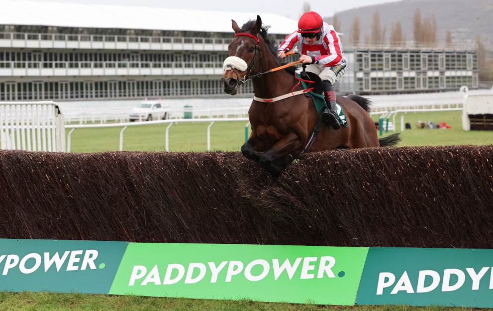 When is Brown Advisory Novices’ Chase? Cheltenham date, time, runners ...