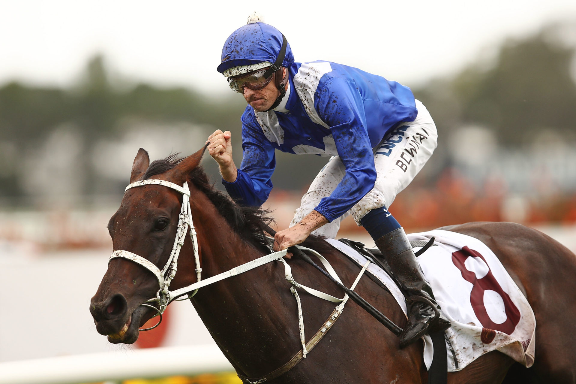 Top 8 most famous race horses of all time | Paddy Power News – Paddy ...