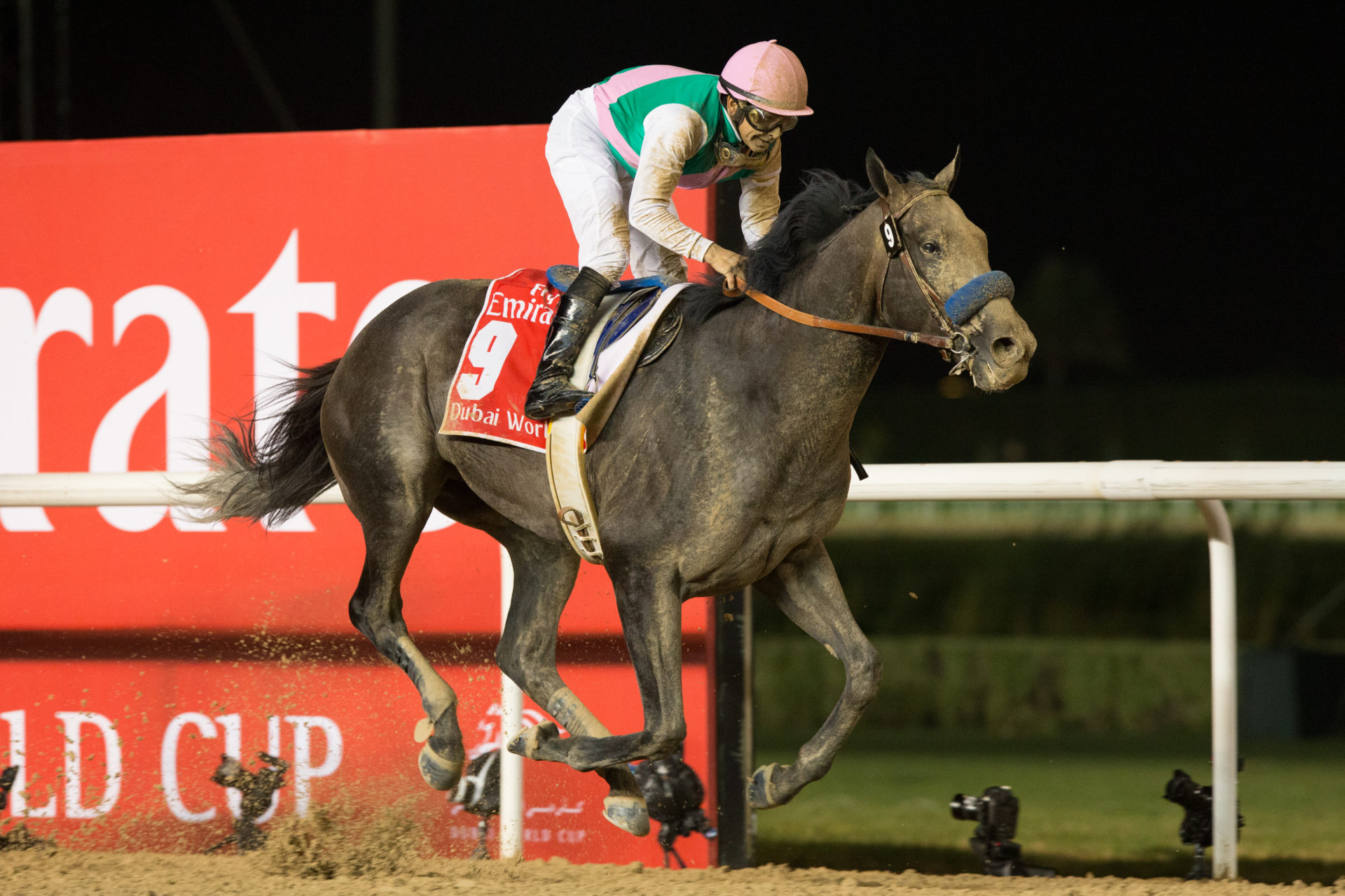 Top 8 most famous race horses of all time | Paddy Power News – Paddy ...