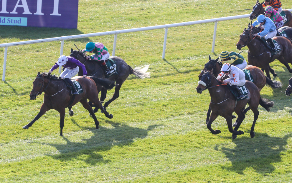 Irish Lincolnshire tips and runners guide to Curragh 3.25 – Paddy Power ...