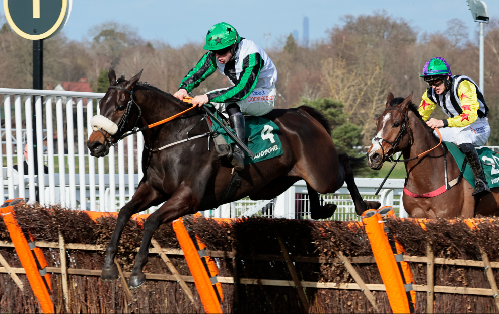 Imperial Cup tips and runners guide to Sandown 2.25 on Saturday – Paddy ...