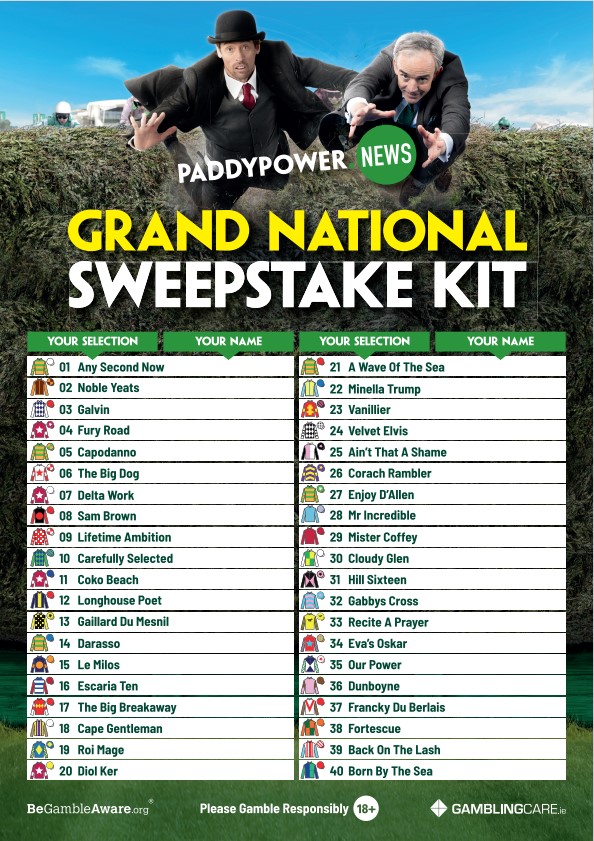 Grand National Sweepstake Kit: Paddy’s online AND print packs – Paddy ...