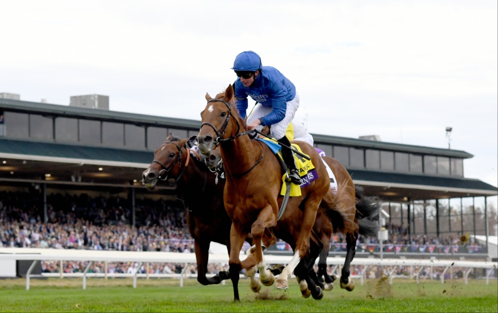 Lockinge Stakes tips and runners guide to Newbury 3.35 – Paddy Power News