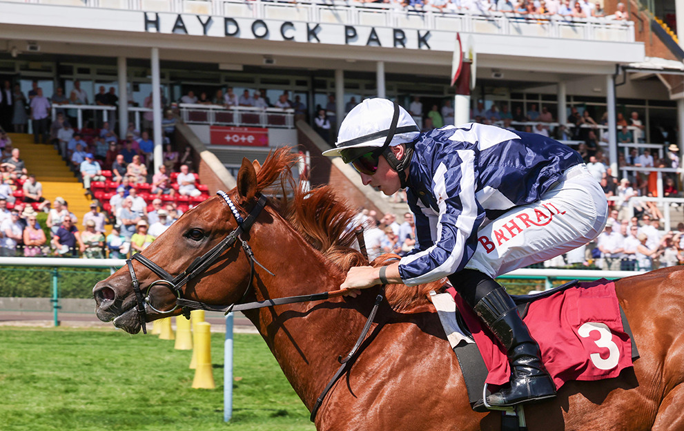 Horse Racing Tips: Timeform's picks at Ayr on Monday