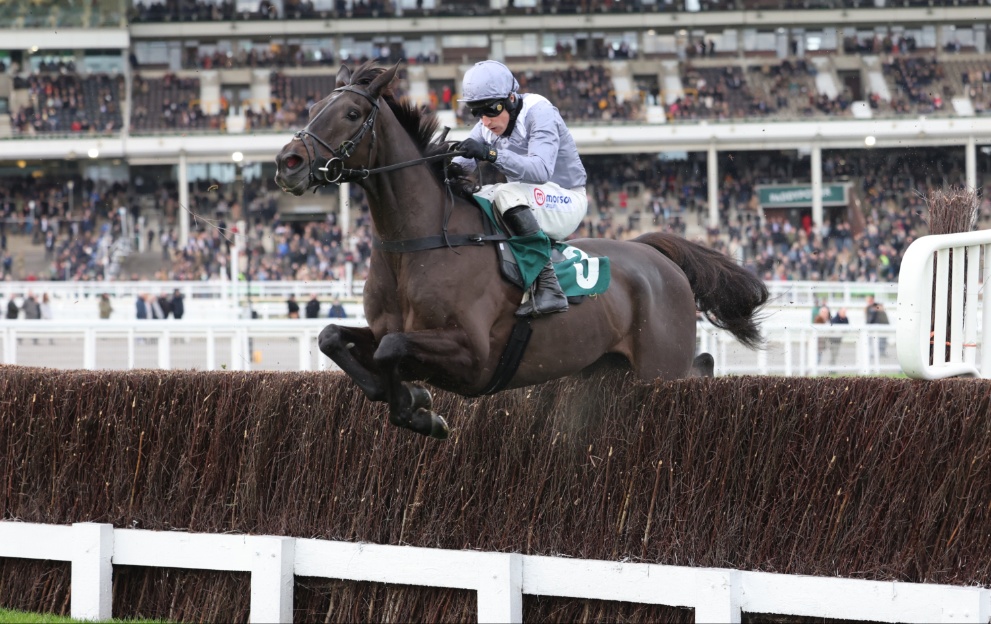Old Roan Chase tips and runners guide to Aintree 2.00 on Sunday – Paddy ...