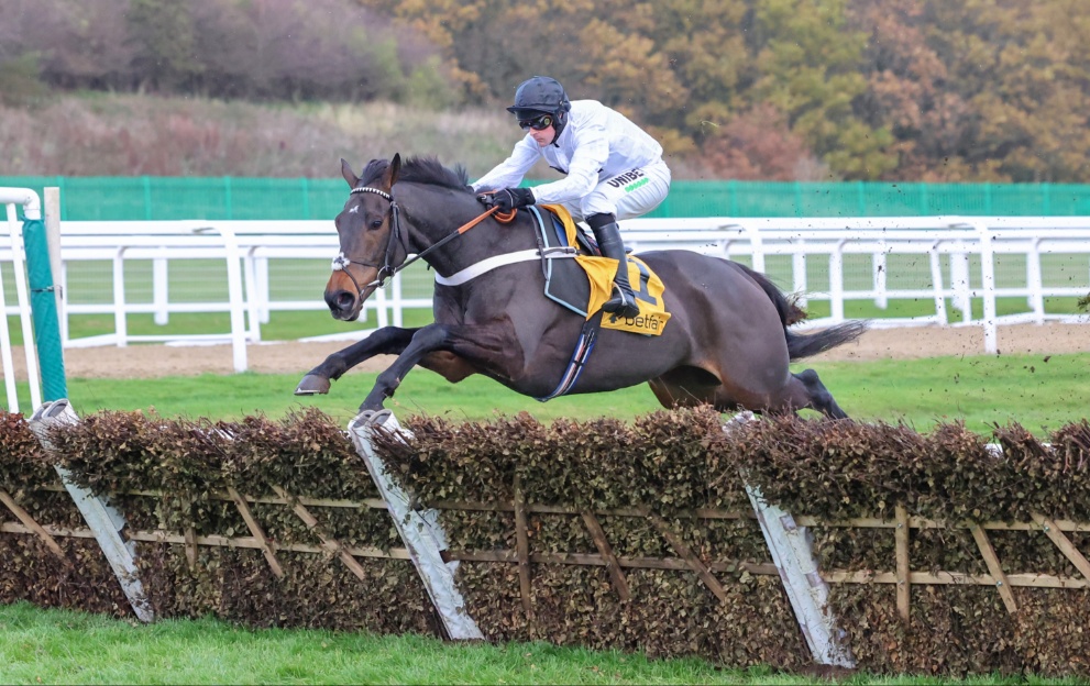 Fighting Fifth Hurdle 2025 date, time, runners and odds – Paddy Power News