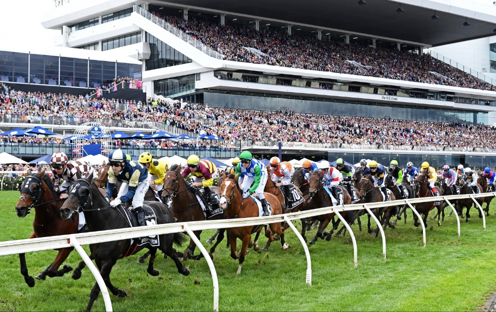 Melbourne Cup prize money breakdown for 2025 Flemington race – Paddy ...