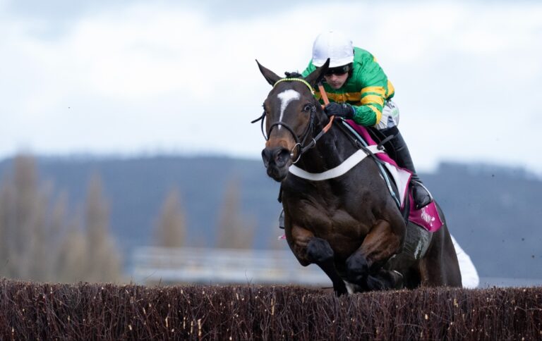 Cheltenham Race Card Today: Guide to November Meeting Day 1 – Paddy ...