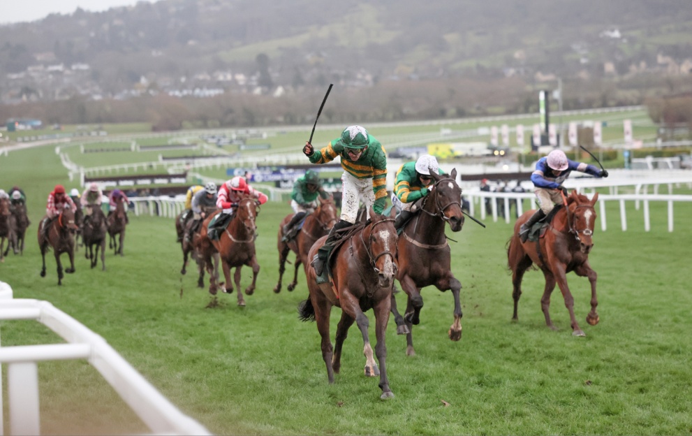 When is the Champion Bumper? Cheltenham date, time, runners, betting ...