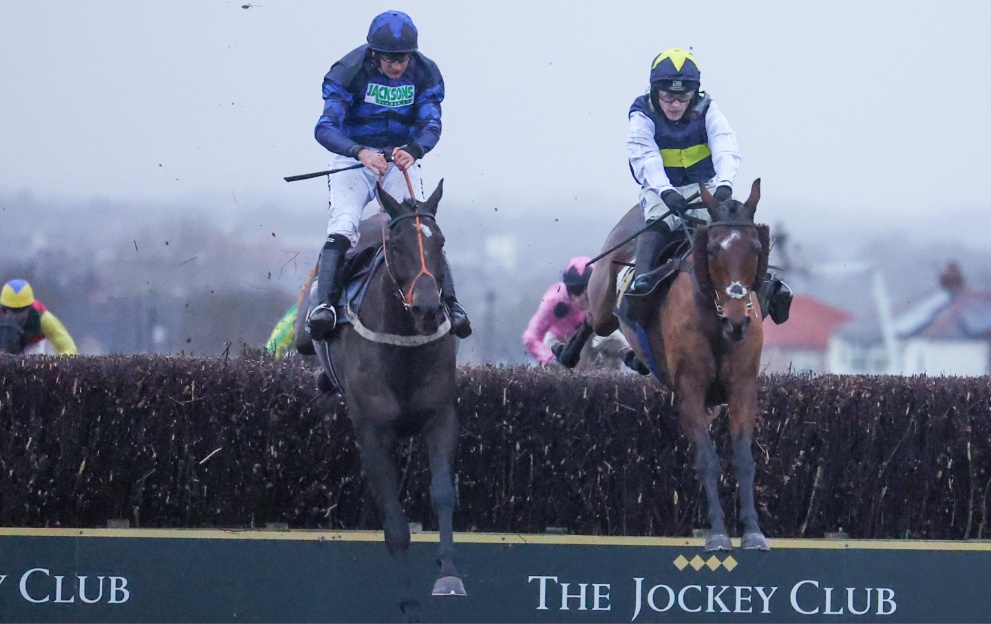 Eider Handicap Chase tips and runners guide to Newcastle 2.08 – Paddy ...