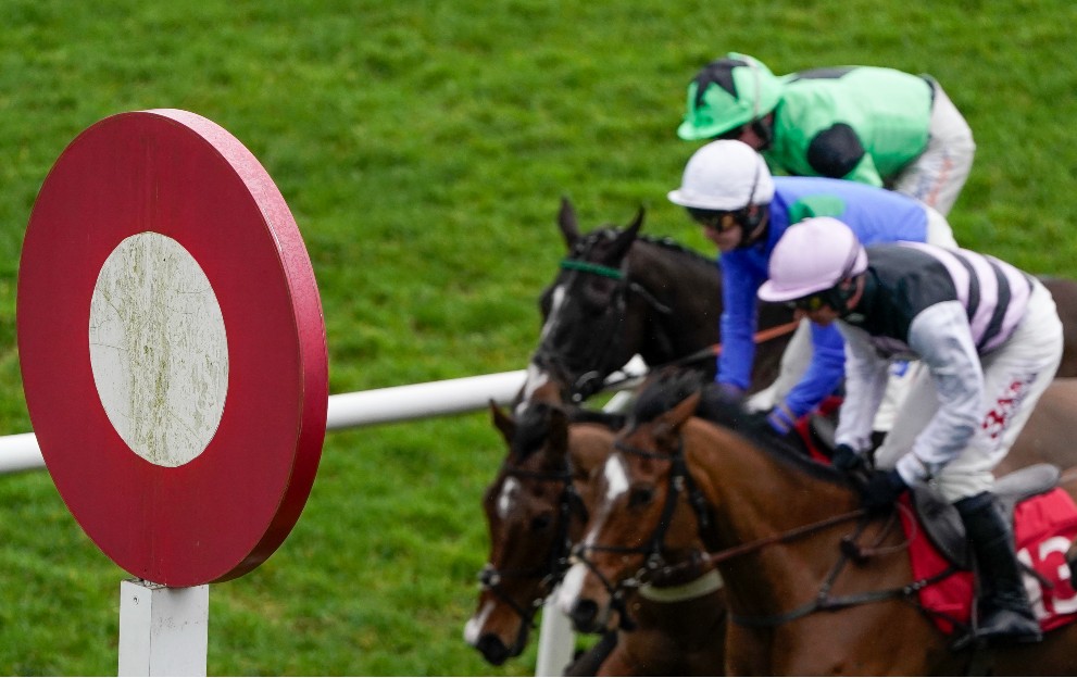 Horse racing betting guide for beginners | Paddy Power News